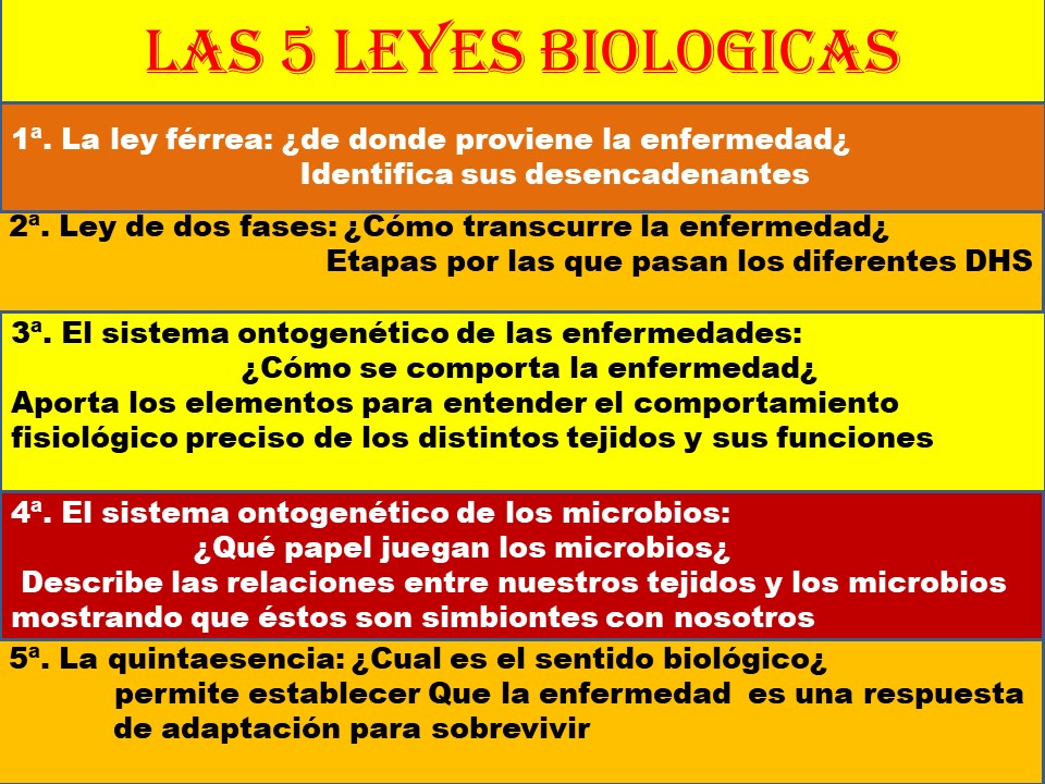 Sana con la Nueva Medicina Germánica :: Salud-consciente8